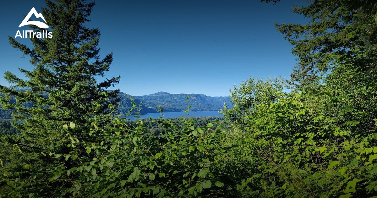 Portland Waterfalls | List | AllTrails