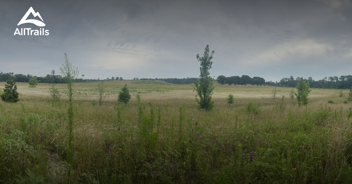 Memorial Pk Red Trail | List | AllTrails