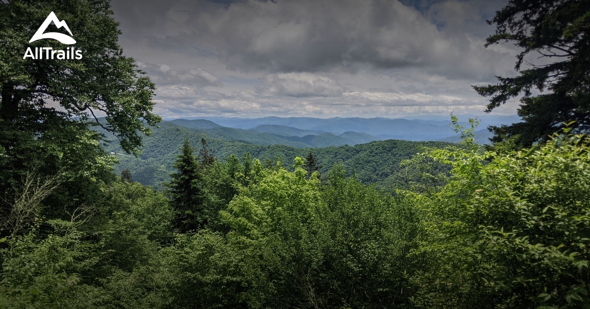 Appalachian Trail: Tennessee: Best Day Hikes | List | AllTrails