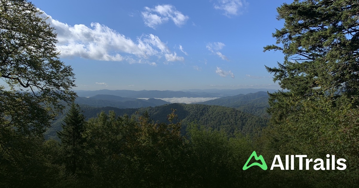 Appalachian Trail: Tennessee: Best Day Hikes | List | AllTrails