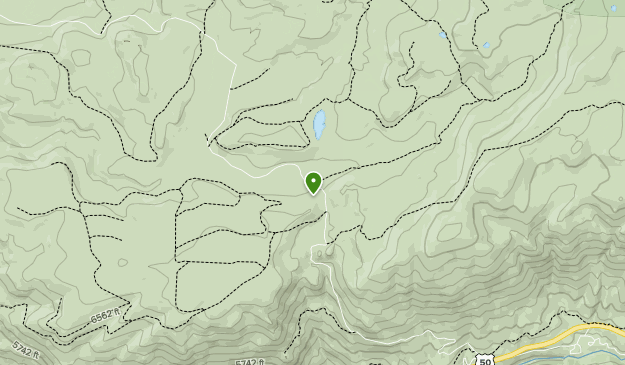 Lyons Lake | List | AllTrails