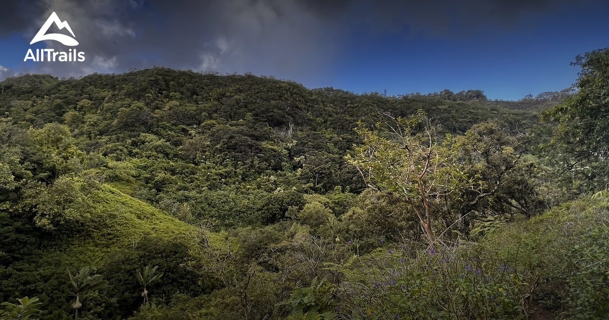 Waimano Falls & Pools | List | AllTrails