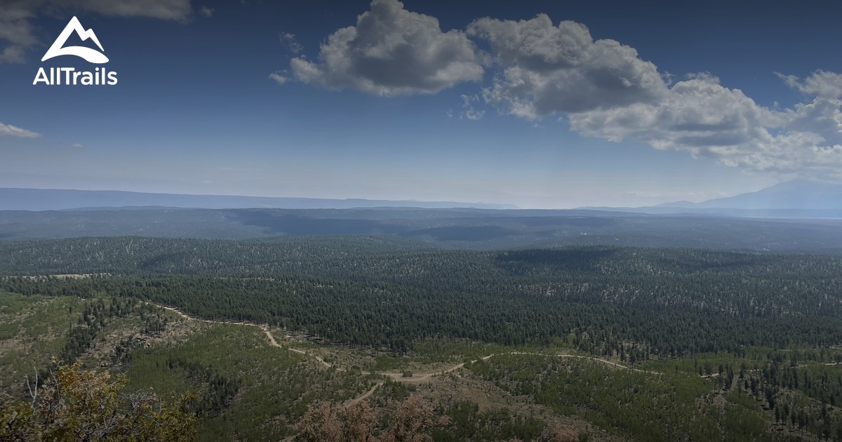 Low altitude trails to Seattle | List | AllTrails