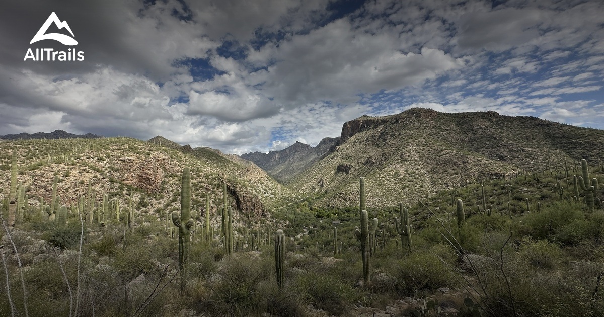 Arizona Sky Islands | List | AllTrails