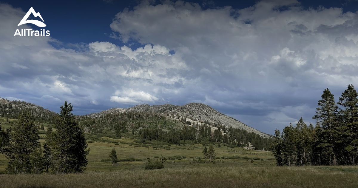 Trails in the 'hood | List | AllTrails