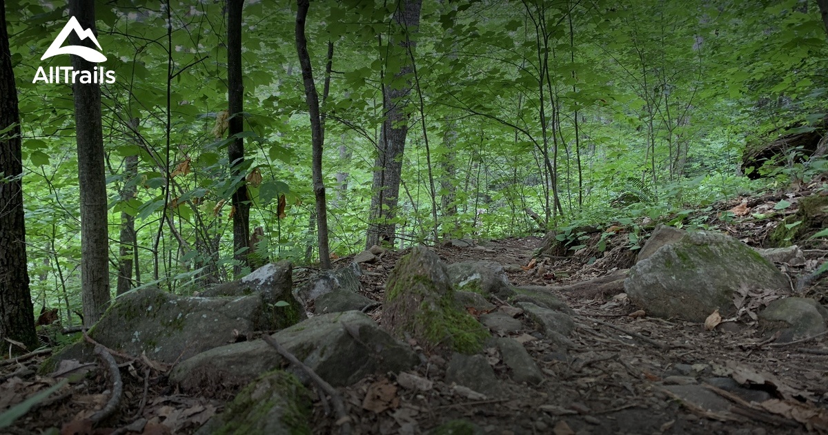 Lake Rabun Hikes | List | AllTrails