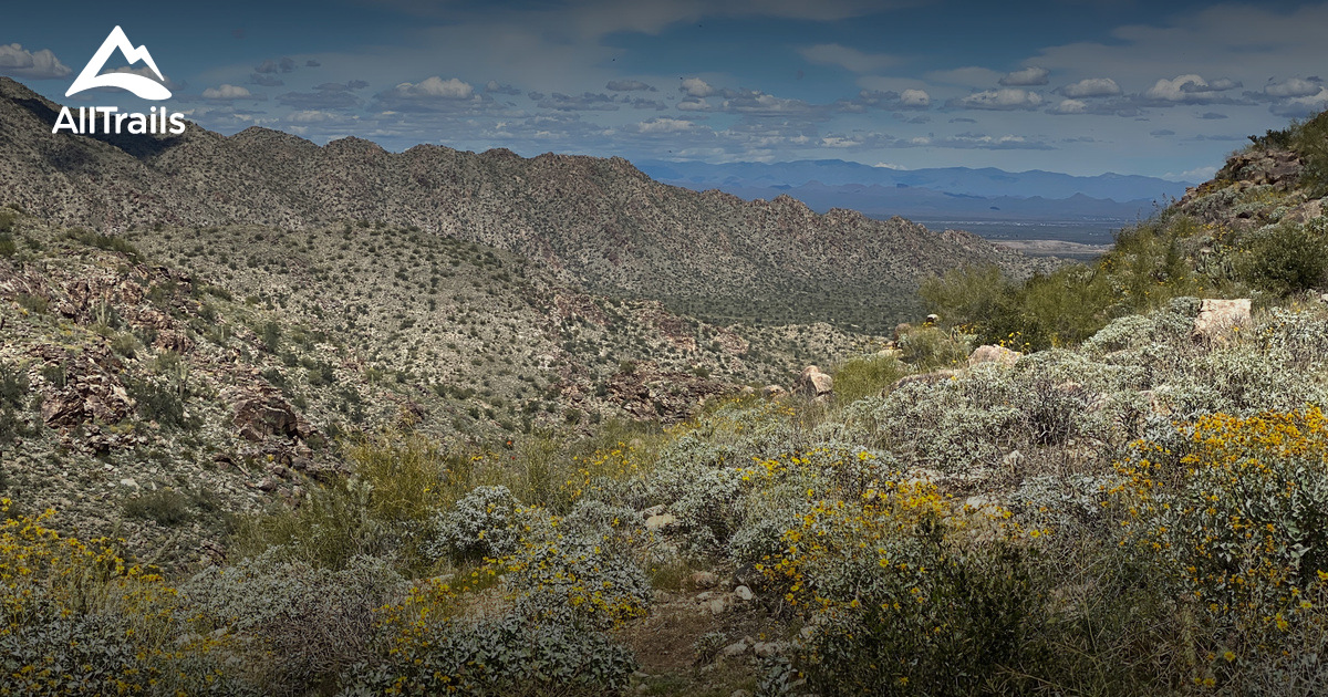 White Tanks Regional Park | List | AllTrails