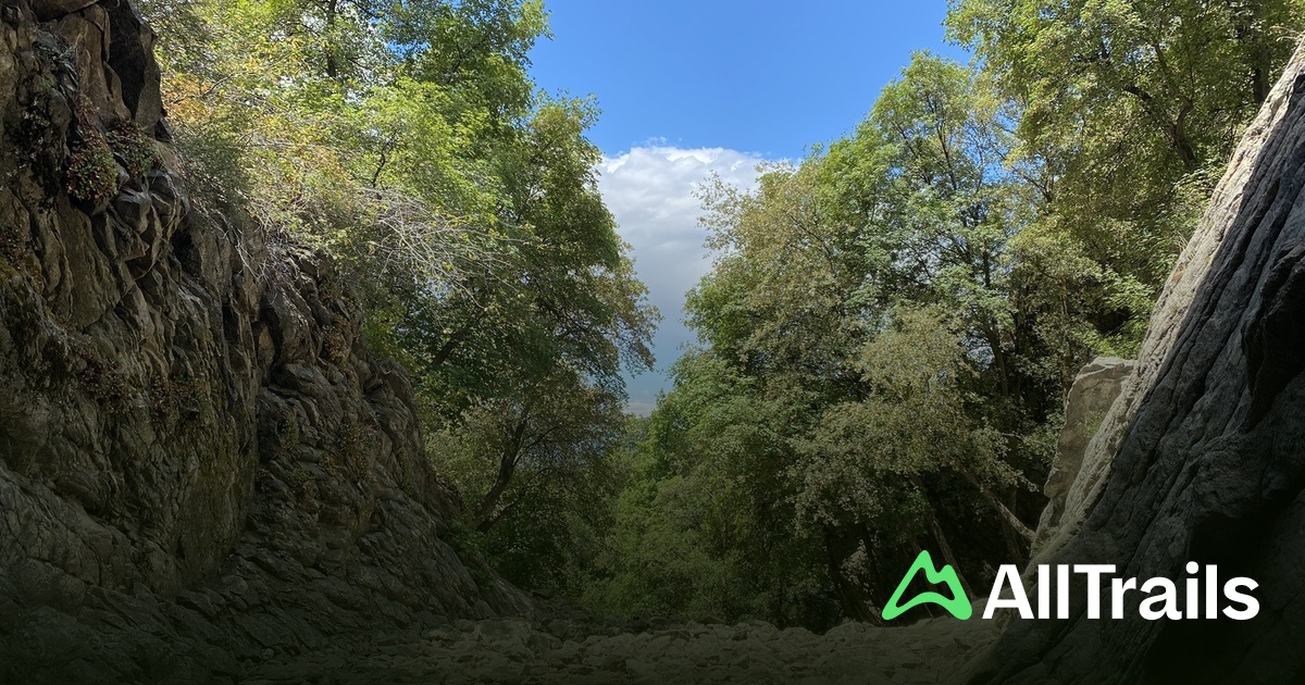 Family Friendly Hikes | List | AllTrails