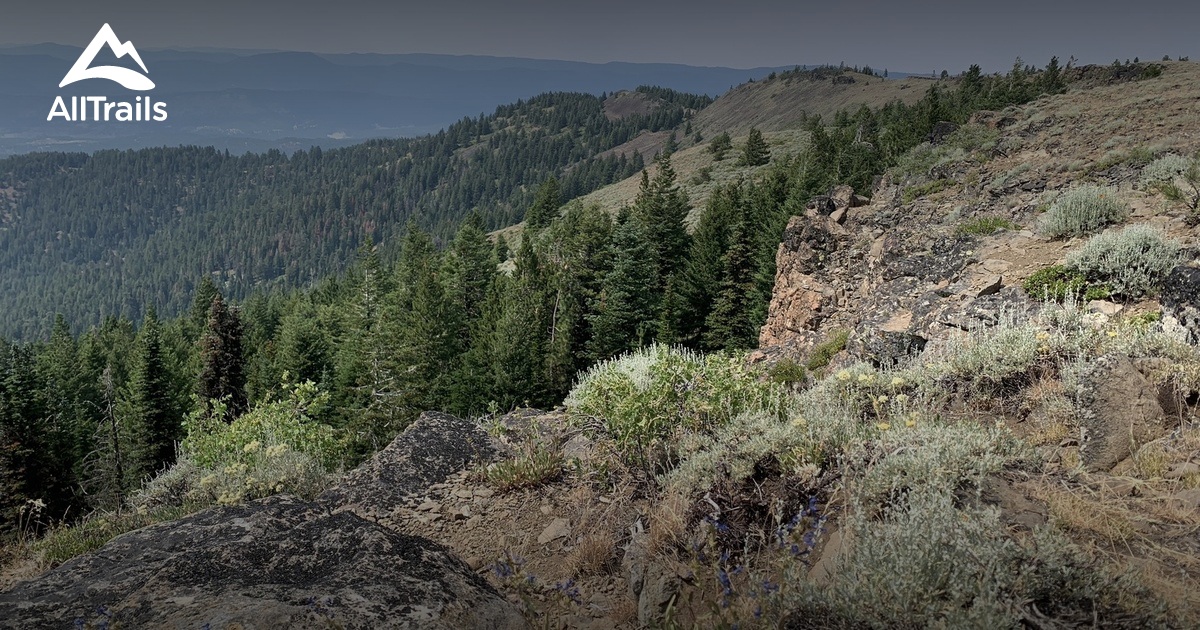 over 3000' elevation gain | List | AllTrails