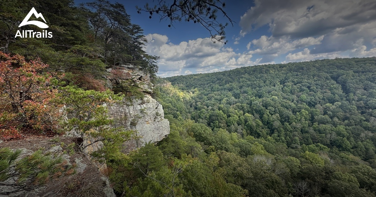 Wander-Full Hikes | List | AllTrails