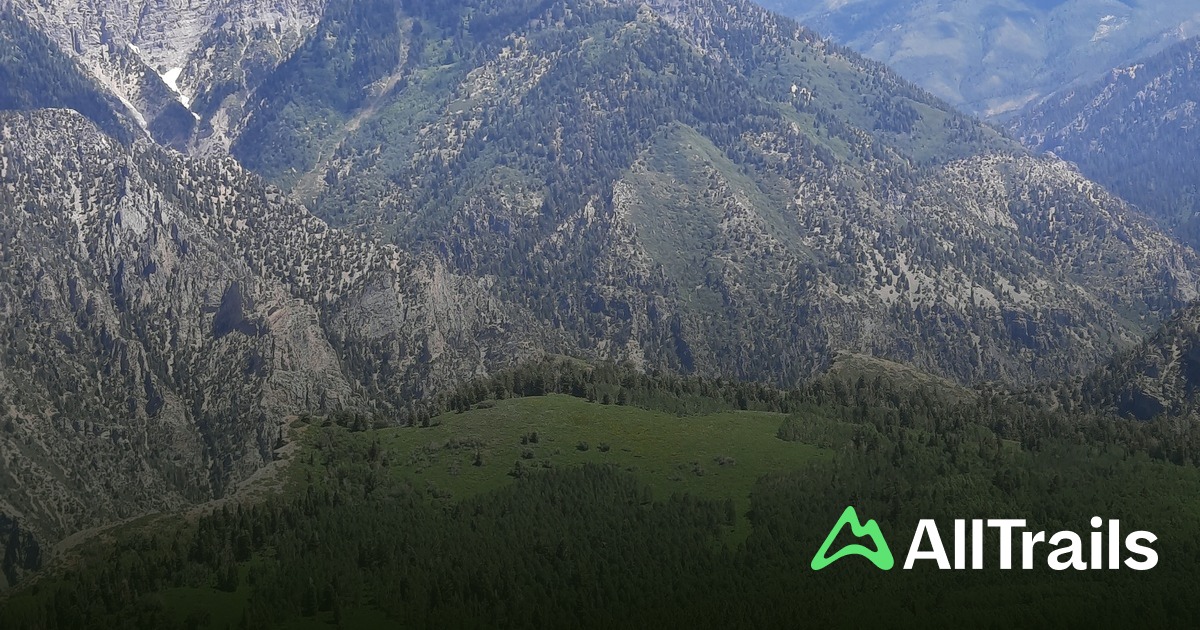 UT Alpine Loop | List | AllTrails