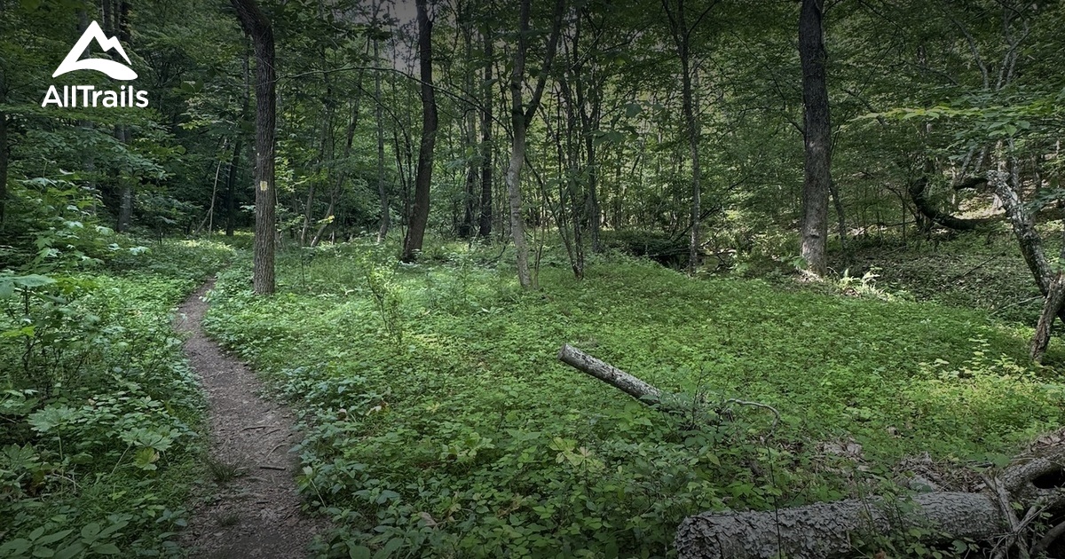 Knight brown nature preserve | List | AllTrails