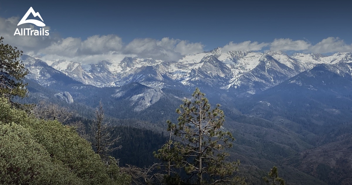 Sequioa Trails | List | AllTrails