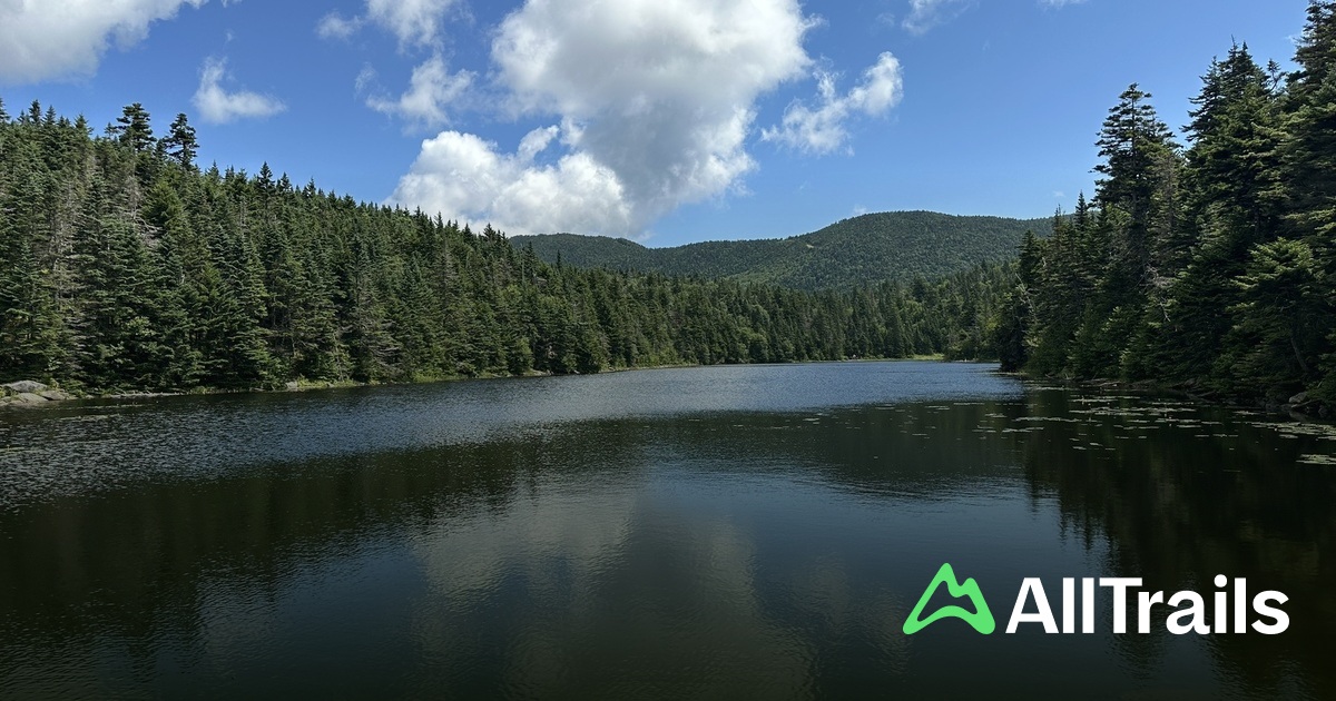 June Vermont Hikes | List | AllTrails