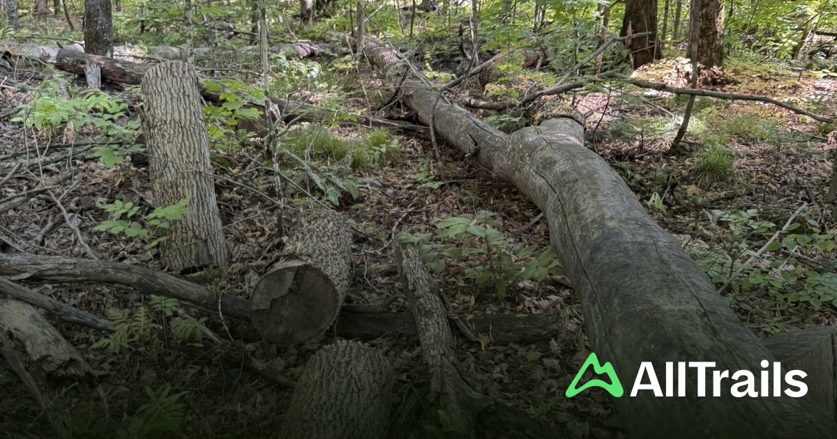 Rideau Trail | List | AllTrails