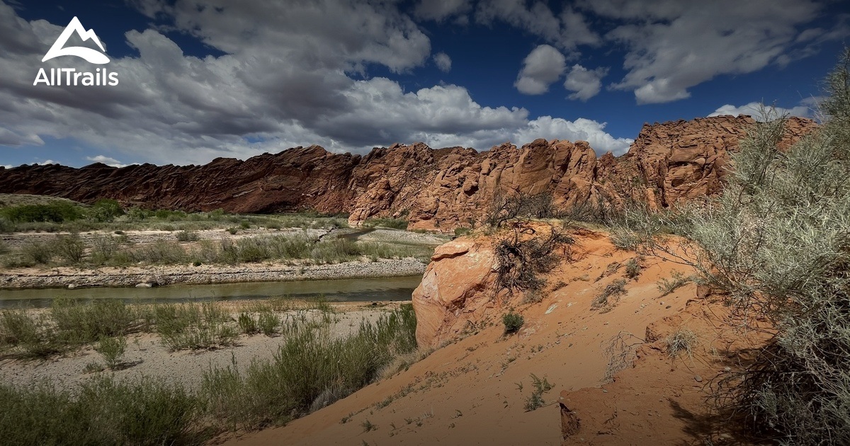Red Cliffs Desert Reserve | List | AllTrails