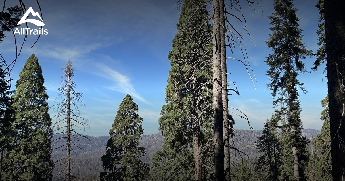 Trinity Center | List | AllTrails