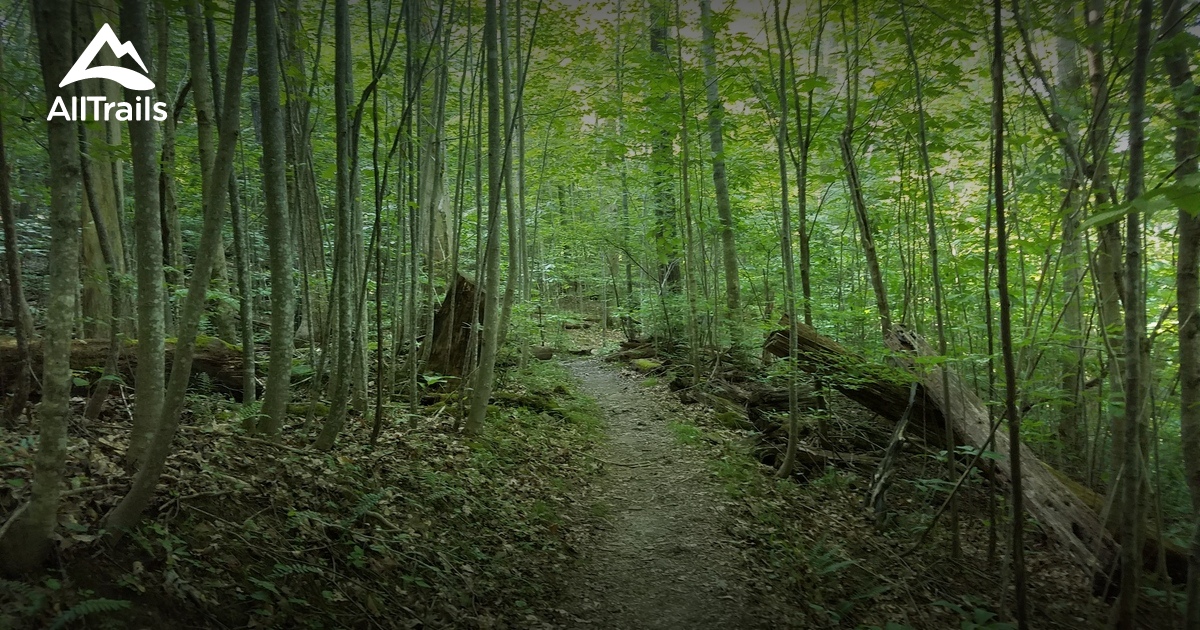 Carter Caves State Resort Park | List | AllTrails