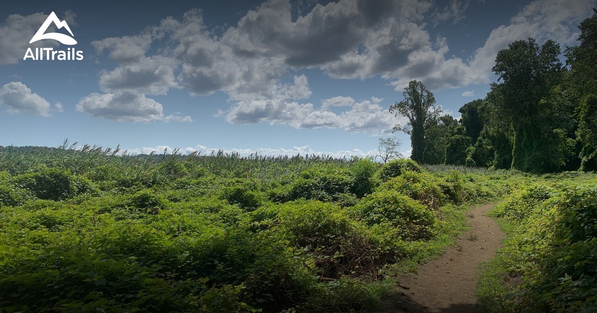 good but easy trails | List | AllTrails