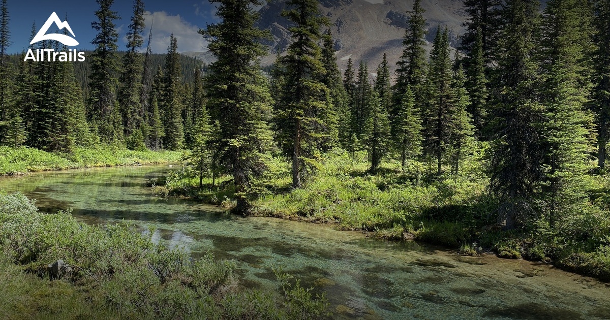 The Route Plan | List | AllTrails