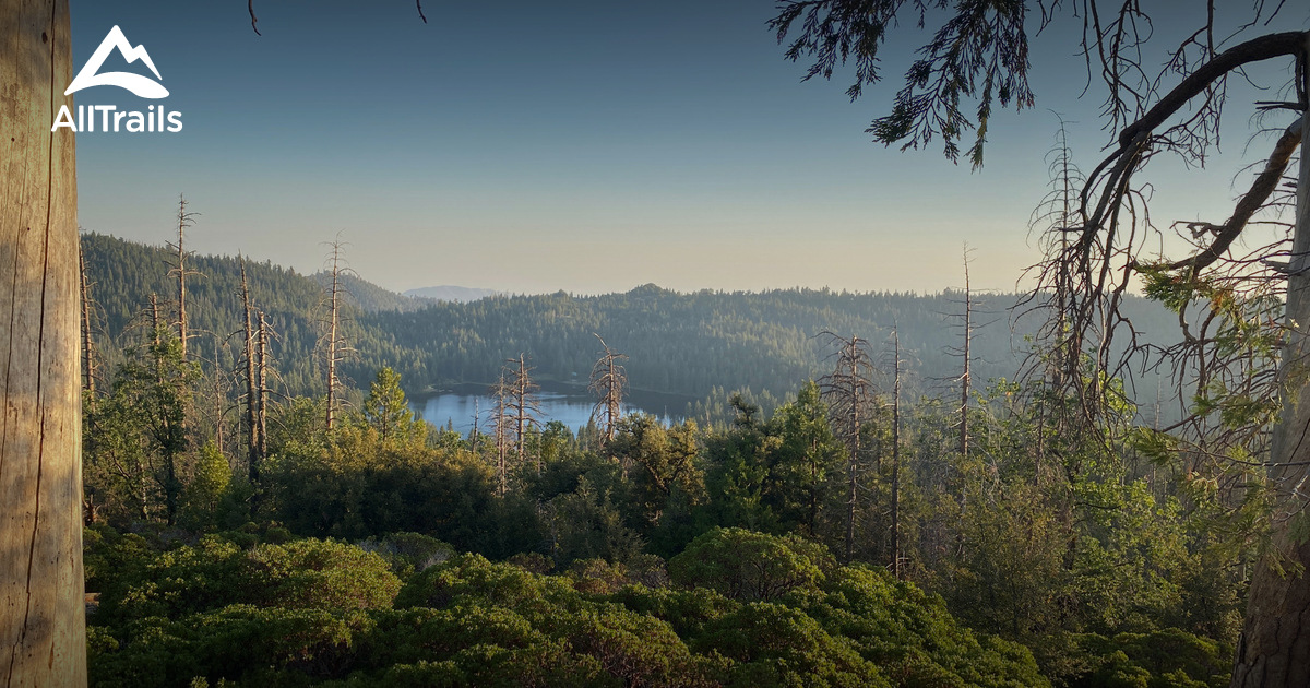 Grant Grove area | List | AllTrails