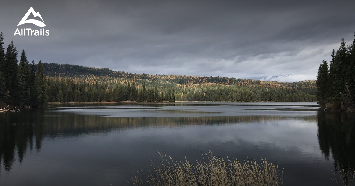 Spout Springs | List | AllTrails