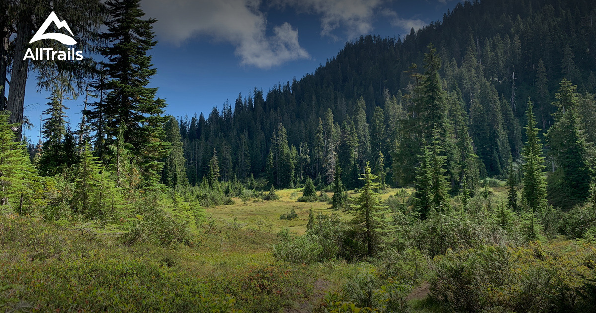 Pilchuck State Park | List | AllTrails