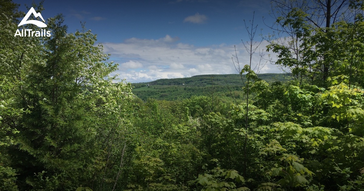 Collingwood and Blue Mountains | List | AllTrails