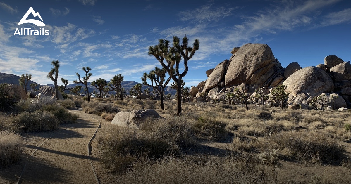 Joshua Tree Hike Options | List | AllTrails