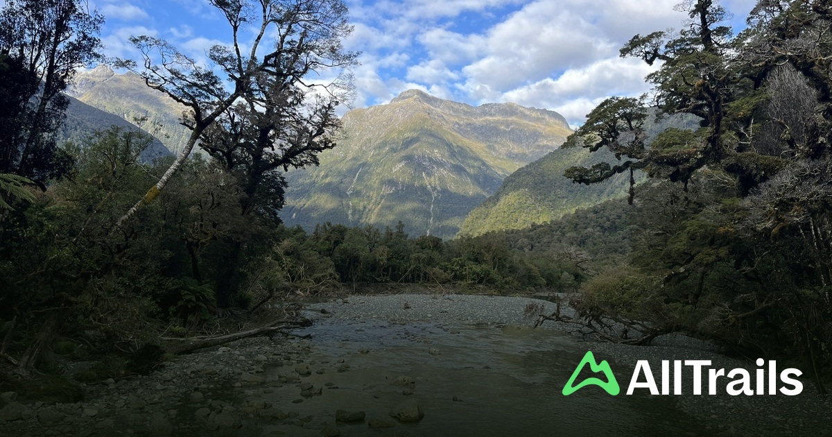 New Zealand Great Walks | List | AllTrails