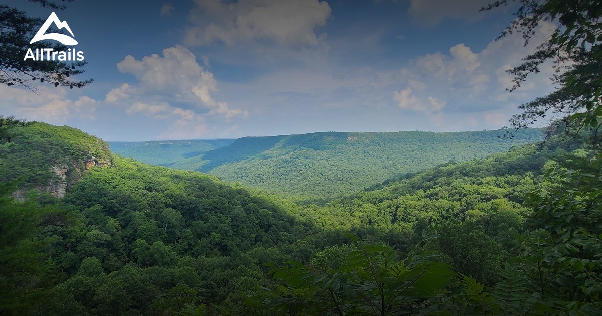 52 hike challenge hikes TENN | List | AllTrails