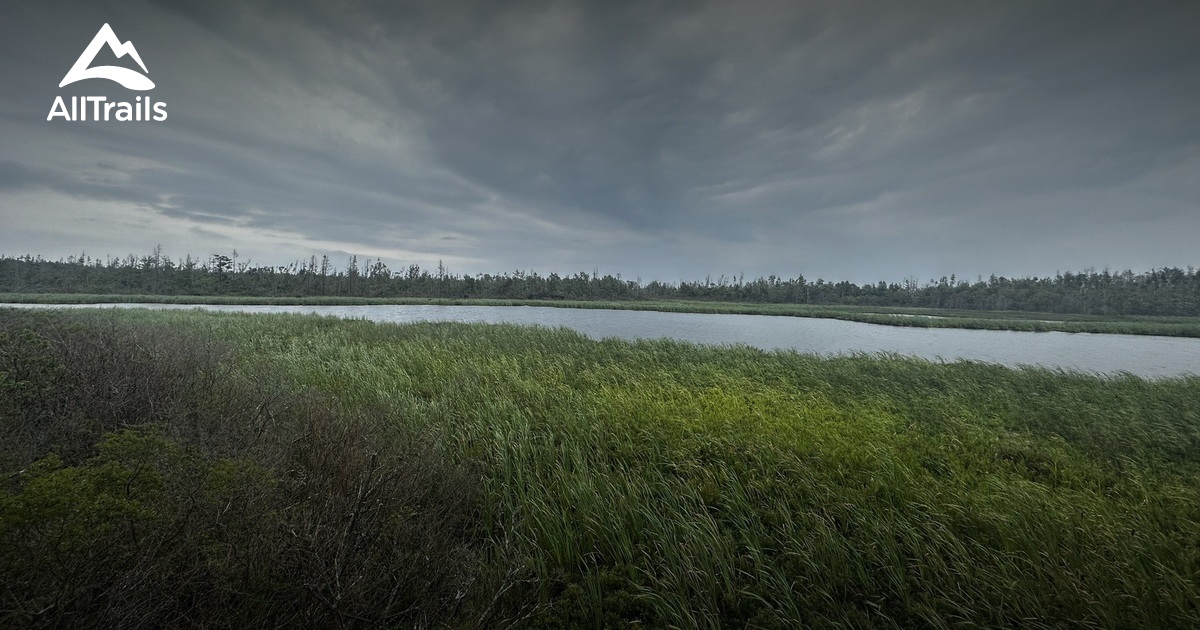 PEI Trails | List | AllTrails