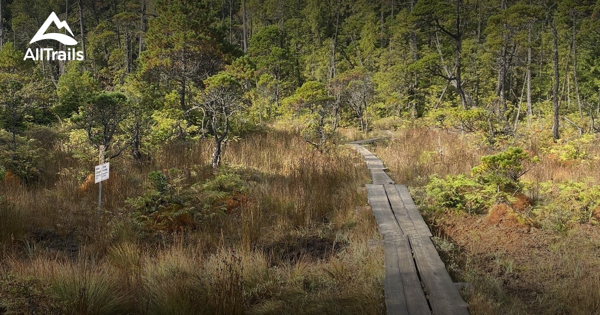Up Island | List | AllTrails