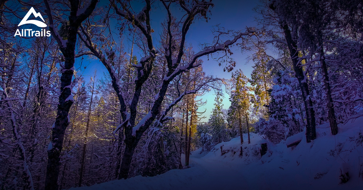 possible snow trails | List | AllTrails
