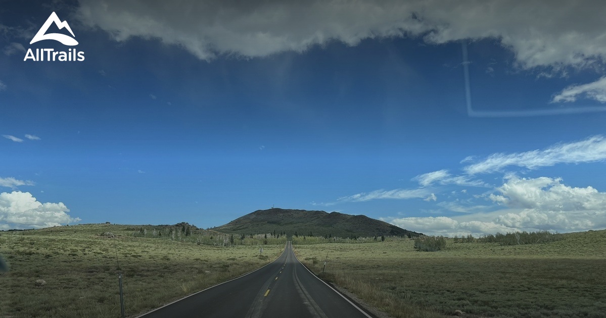 California Dream Drives | List | AllTrails