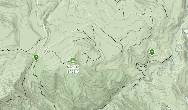 Gray Wolf Trails | List | AllTrails