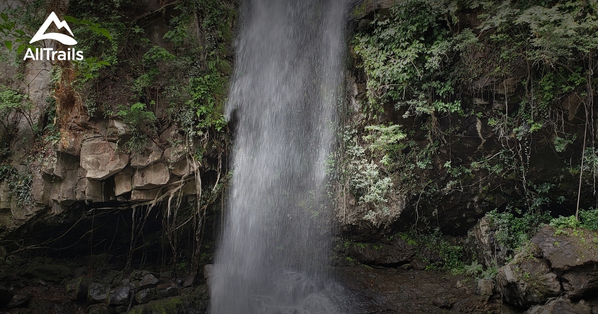 Costa Rica Hikes | List | AllTrails