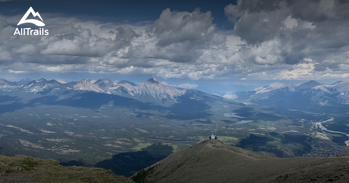Whistlers Summit Trail Jasper - Tram | List | AllTrails