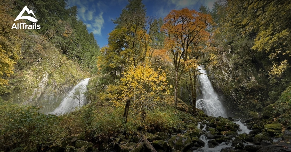 Siuslaw National Forest | List | AllTrails