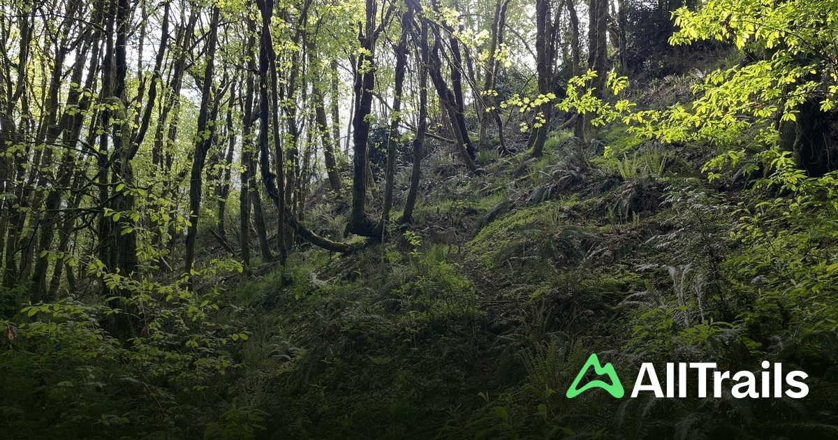 Puget Sound Lowlands | List | AllTrails