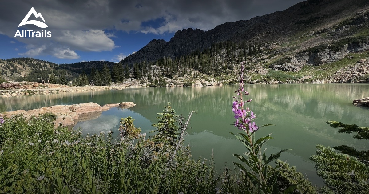 Utah Formal | List | AllTrails