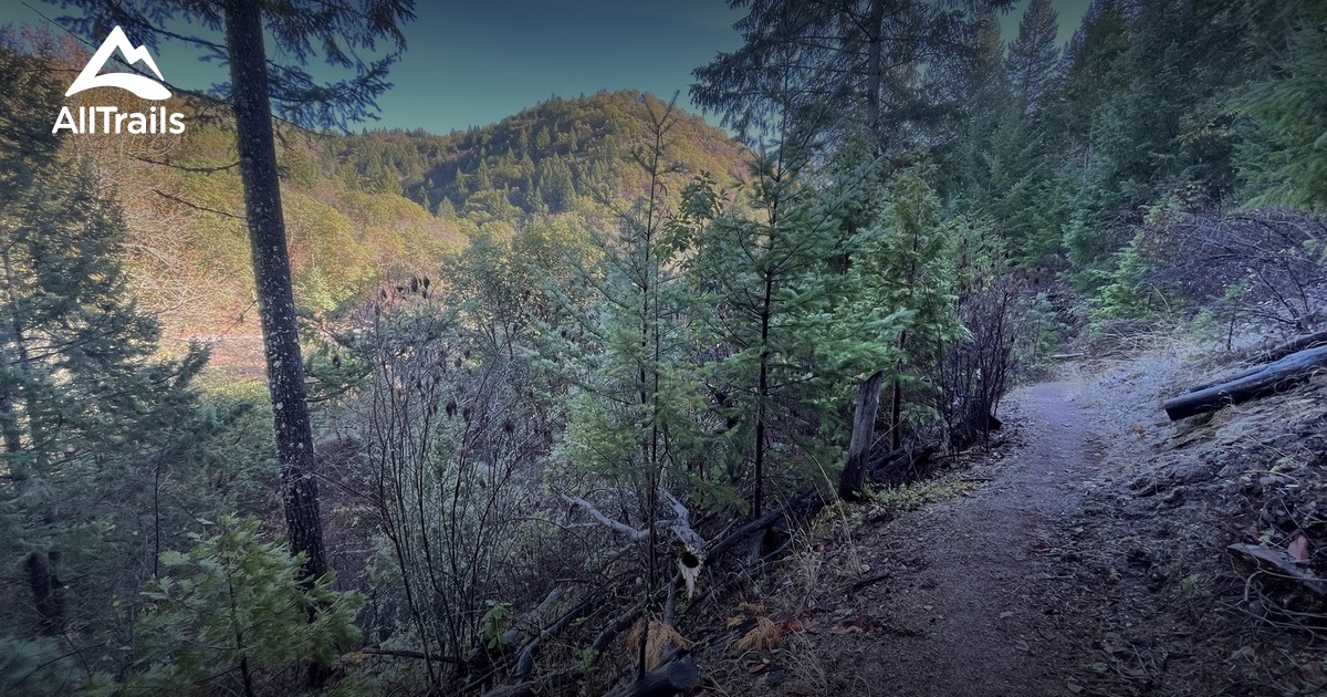 Jville Forest Park | List | AllTrails