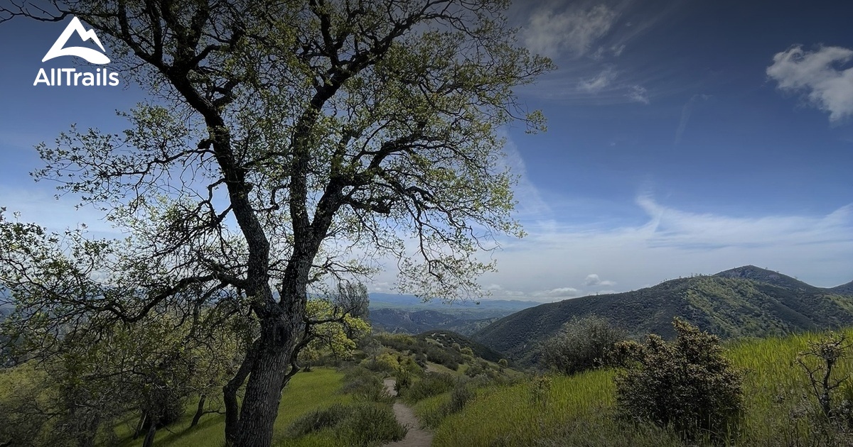 Pebble Beach Day Hikes | List | AllTrails
