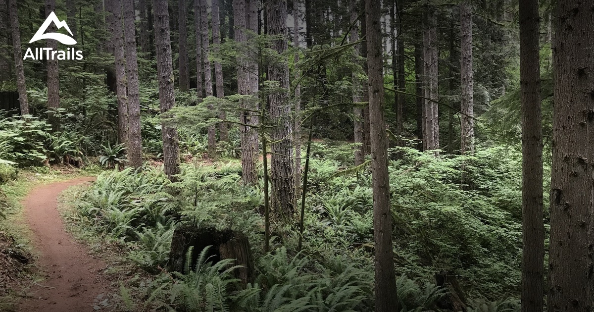 Capitol Forest Hikes | List | AllTrails