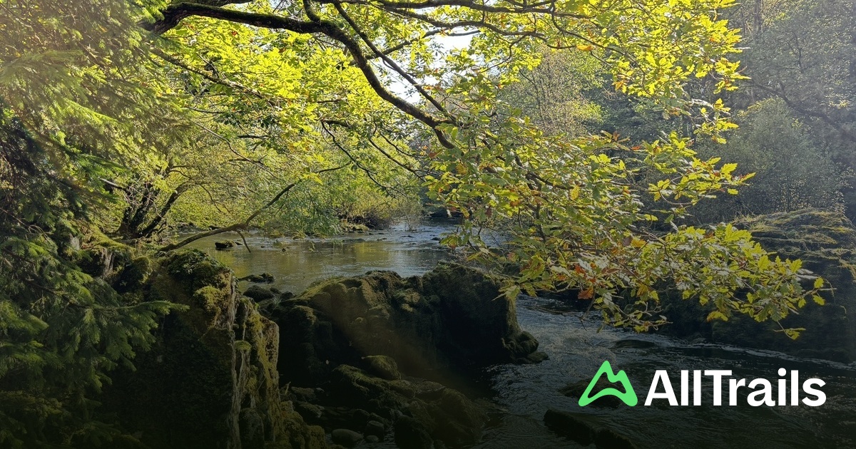 Nipper trails | List | AllTrails