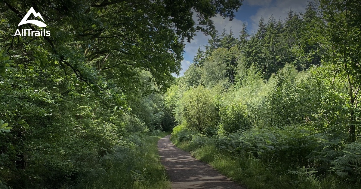 Forest of Bere/100 Acre Wood | List | AllTrails