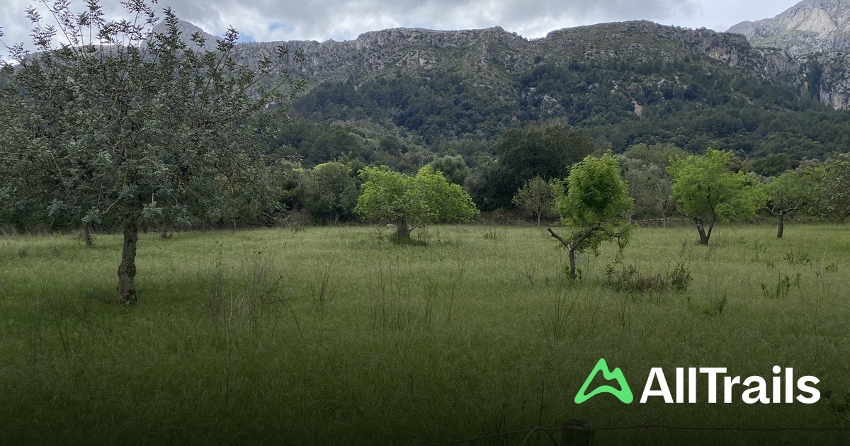 GR®221: The Dry Stone Route | List | AllTrails