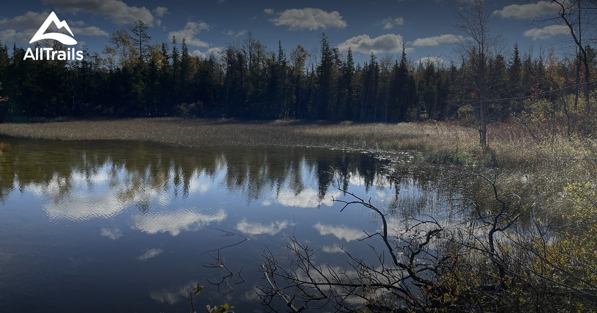 macgregor point trails | List | AllTrails