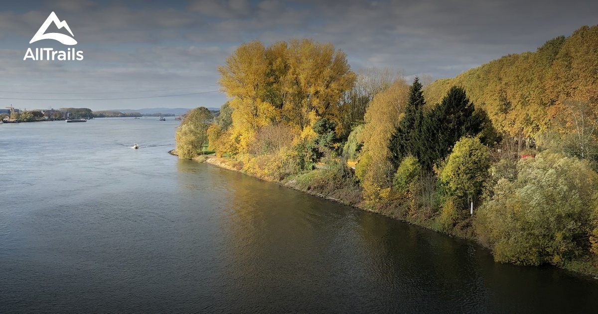 Rheinsteig | List | AllTrails