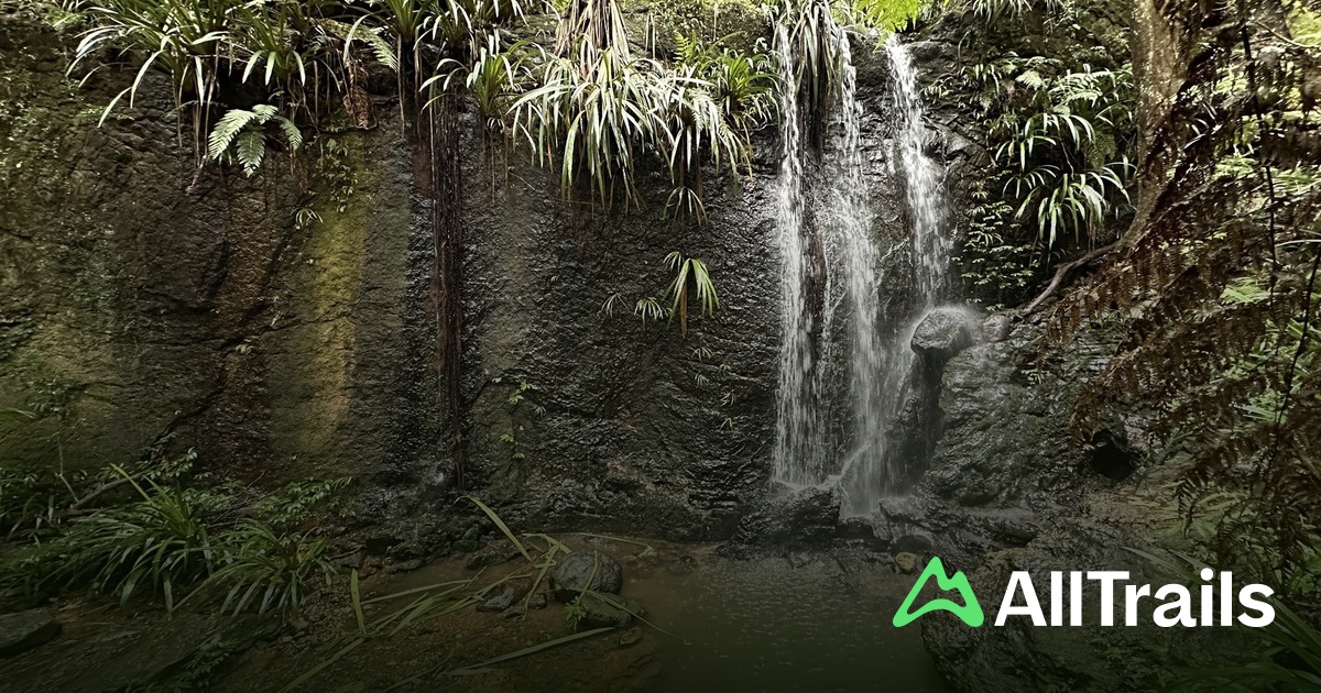 Sth QLD Moderate | List | AllTrails